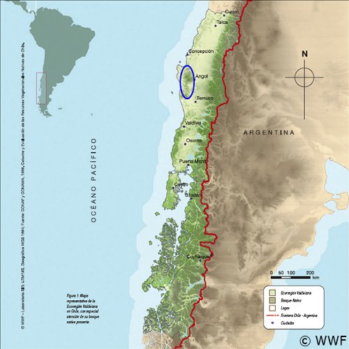 Hydroelectric Developments Threaten the Bullock's False Toad in Chile ...