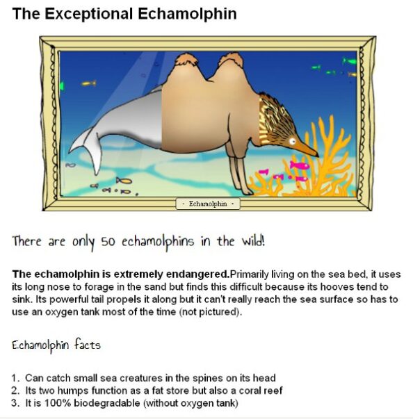 Create Your Own EDGE Species - EDGE of Existence