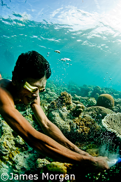 Destructive Fishing - EDGE of Existence