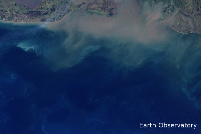 Destructive Fishing - EDGE of Existence