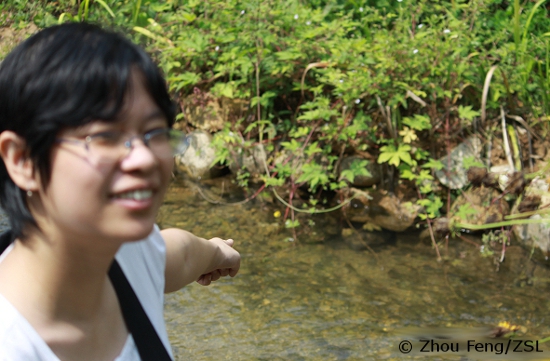 Introducing EDGE Fellow Zhou Feng - EDGE of Existence