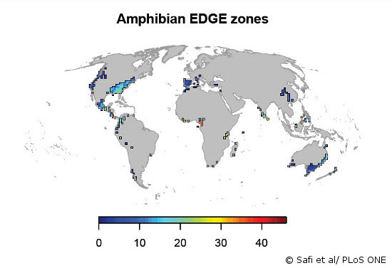 EDGE Zones – EDGE species mapped for the first time - EDGE of Existence