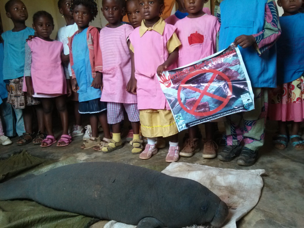 Lessons Learned from a Lost Manatee - EDGE of Existence