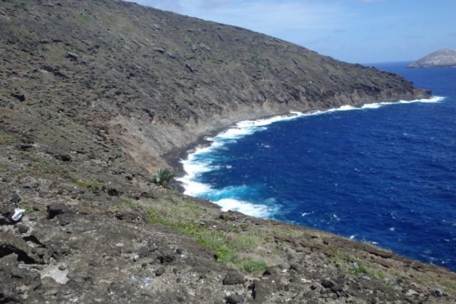 The last of its kind: bringing the boa back from the EDGE - EDGE of ...