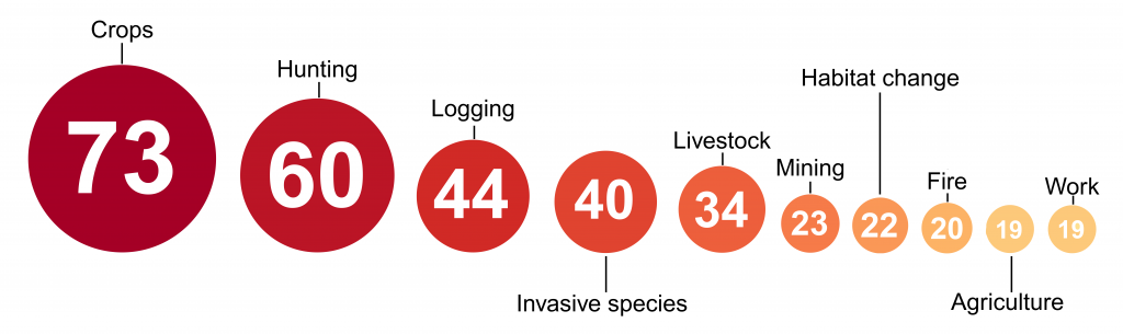 EDGE Birds - EDGE of Existence