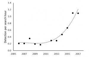 My work with the Round Island boa - by Segré EDGE Fellow Aurelie Hector ...