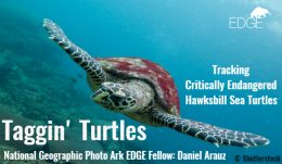 EDGE of Existence :: Evolutionarily Distinct & Globally Endangered