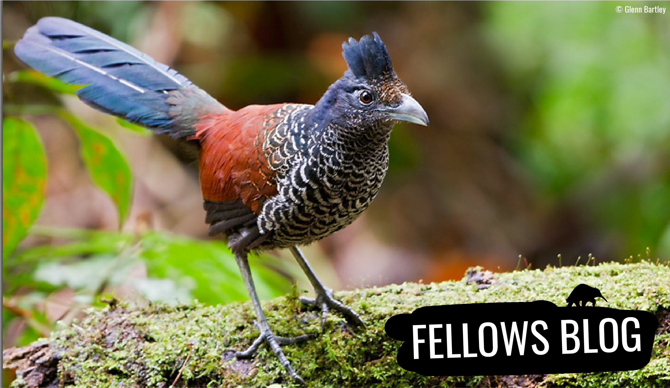 The Challenge of Conserving the Invisible - EDGE of Existence