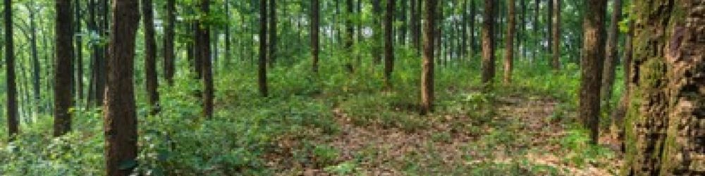 Ashmita Shrestha - EDGE of Existence