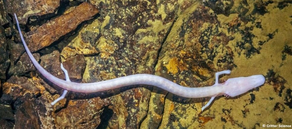 What’s in a colour? - EDGE of Existence