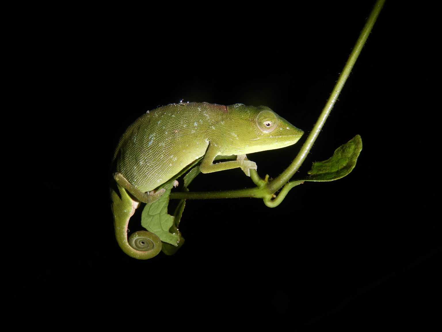 Fifteen Footsteps Forward - part three - EDGE of Existence