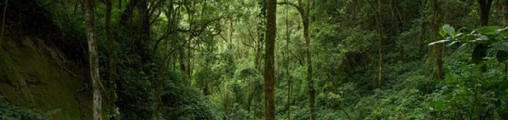 Eva Johnson - EDGE of Existence