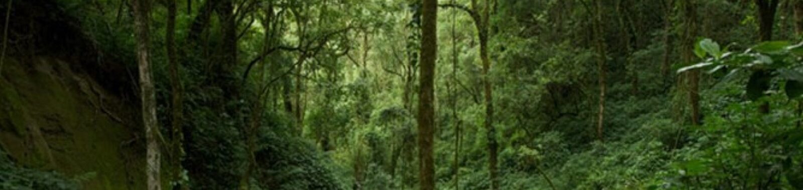 Eva Johnson - EDGE of Existence