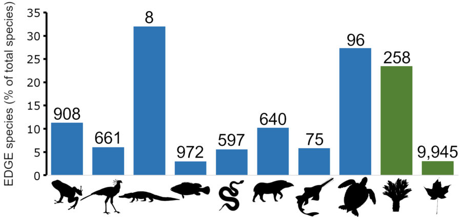 EDGE Lists - EDGE of Existence