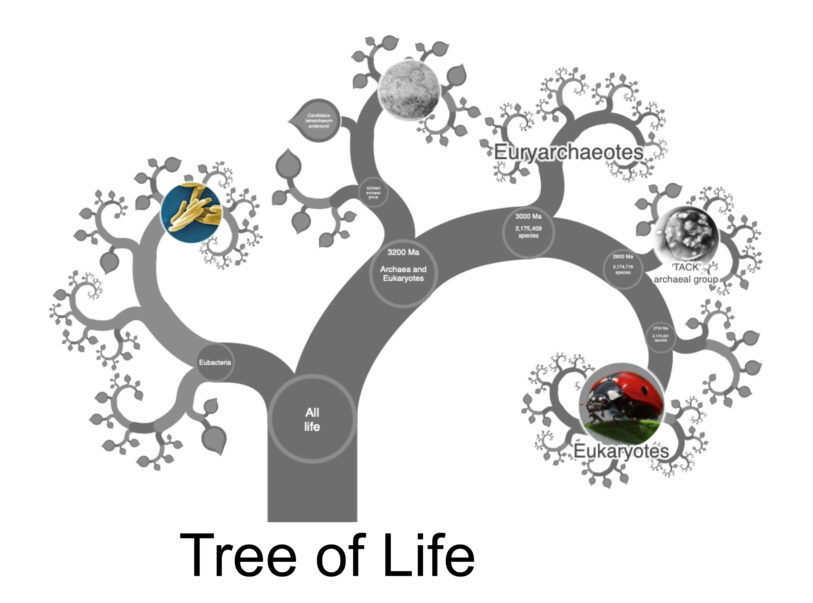 EDGE Lists - EDGE of Existence