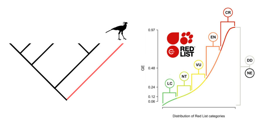 EDGE Lists - EDGE of Existence